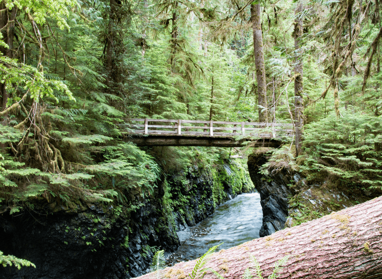 12 Most Beautiful Places In Washington That Will Blow Your Mind